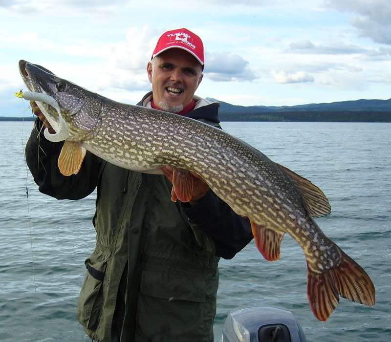 Yukon Pike | PikeFirst