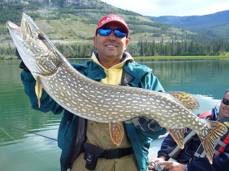 Yukon Pike | PikeFirst