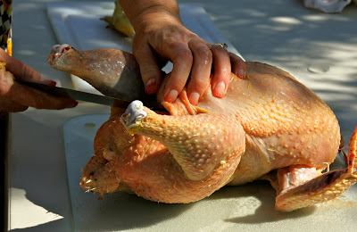 Homestead Revival: Processing Meat Chickens