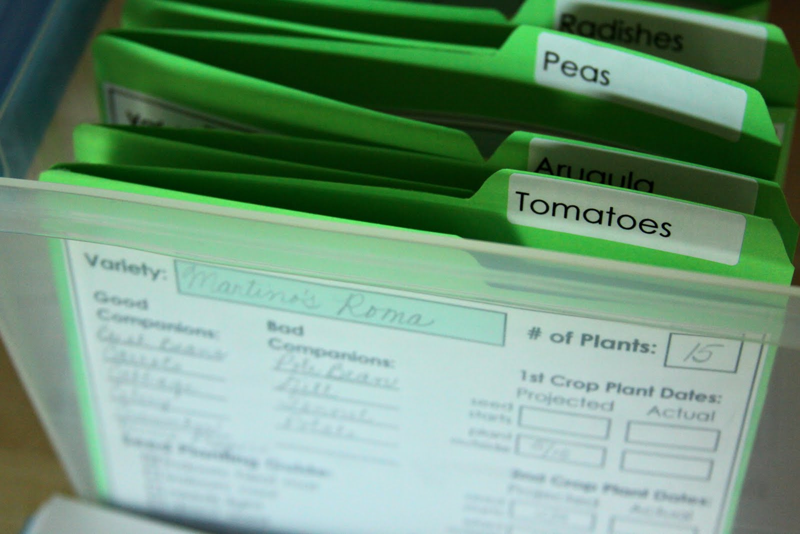 Homestead Revival: Organizing Seeds and Planting Records