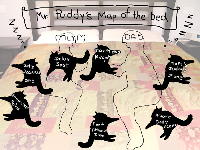 Mr. Puddy: My Map of the Bed