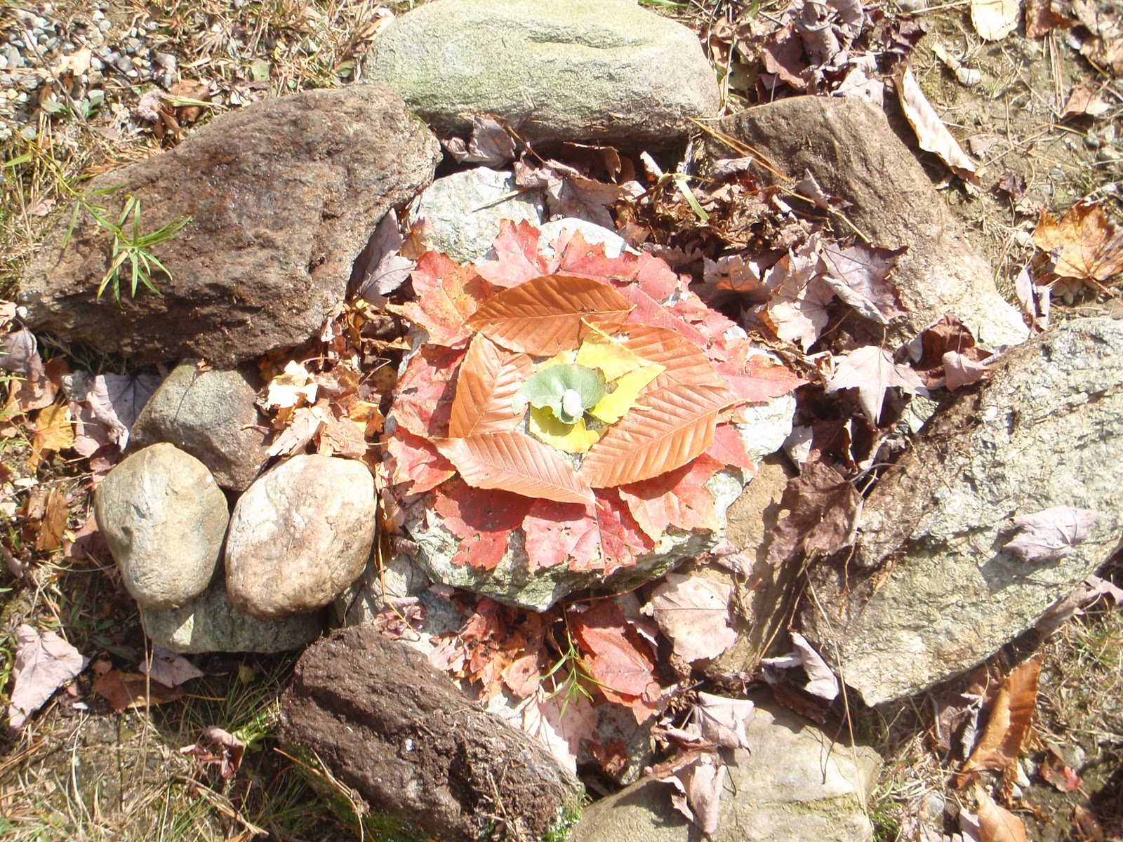 Fayston Elementary Art: More Andy Goldsworthy-Inspired Creations