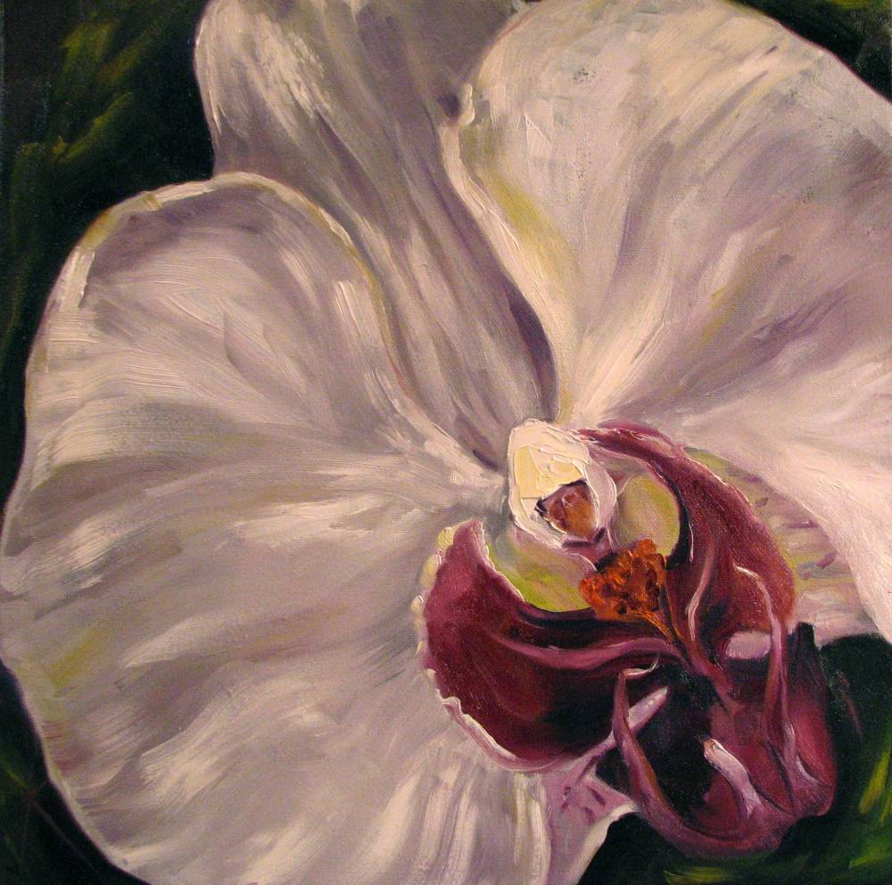 Kim Blair Artist: Floral Painting of an Orchid, White Phal, by Canadian ...