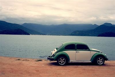 .: FUSCAS EM BELAS PAISAGENS