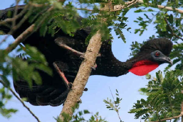 A Journey Through Guatemala: April 2010