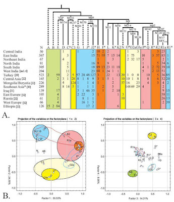 RJ's R2 Blog: Spatial frequency distribution map of Y-chromosome ...