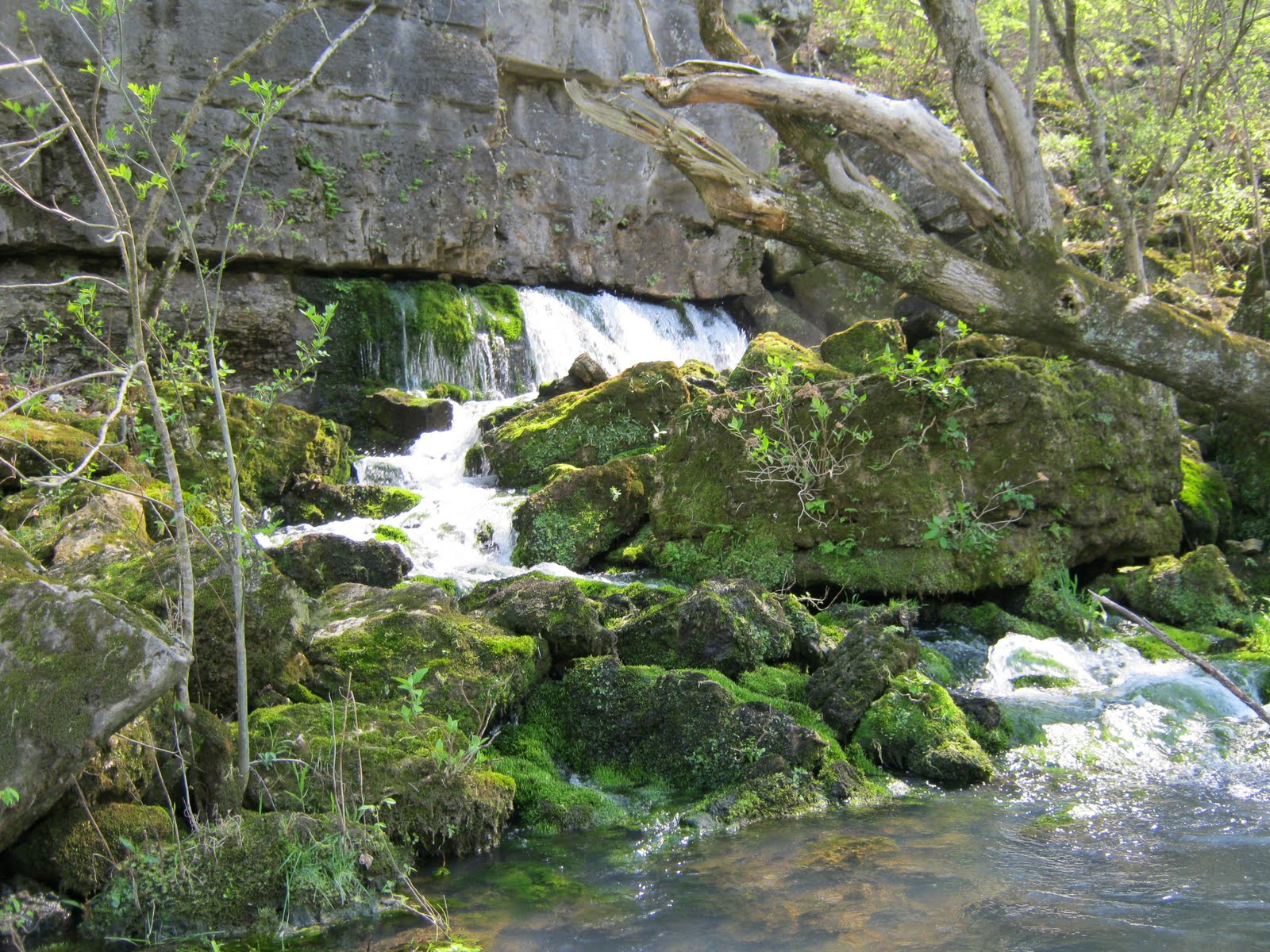 Weekend hiker: Floating the Eleven Point