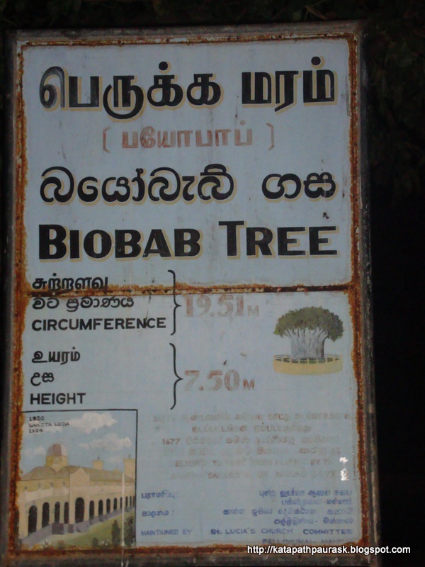 katapath paura_කැටපත් පවුර_: Beauty of Sri Lanka