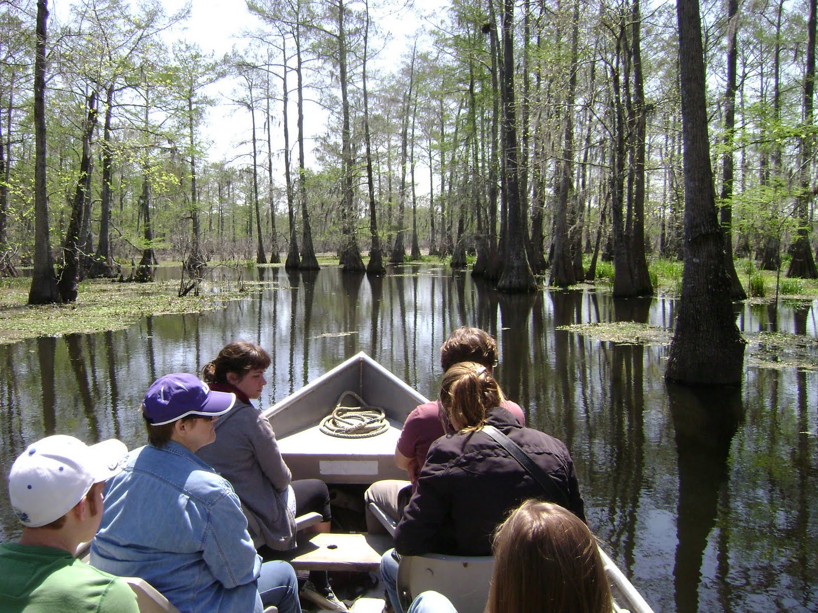 Louisiana Swamp Tours: A Very Busy Season
