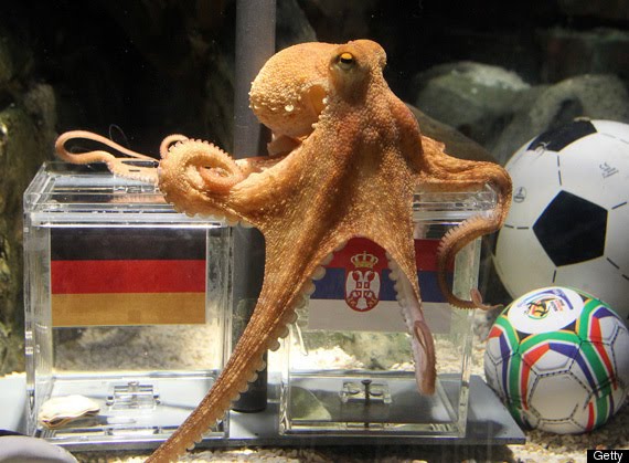 Octopus Paul :-The God of Football ~ THE TRUTH......