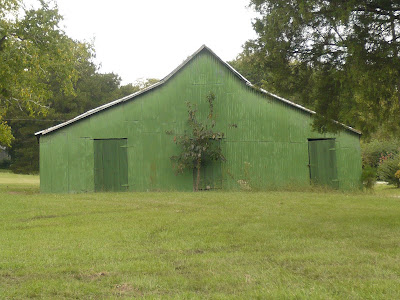 Turn-of-the-Centuries: Newbern, Alabama: Vernacular