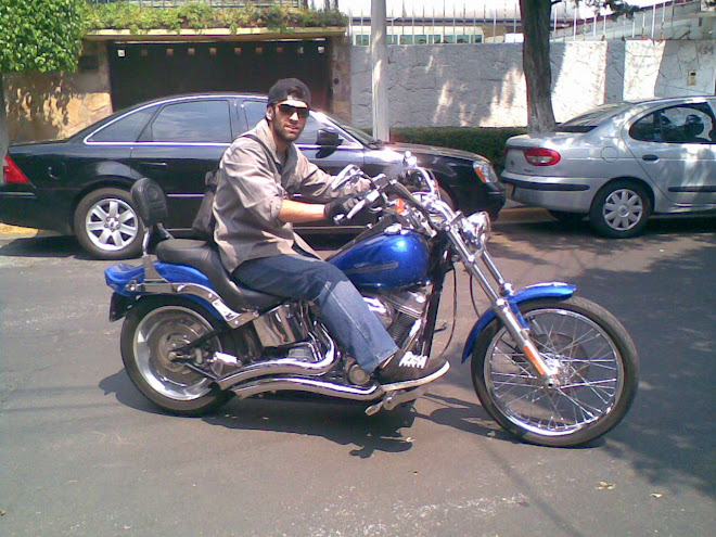 Motos Leon: Motos Leon presenta HARLEY DAVIDSON SOFTAIL STANDARD 07 ...