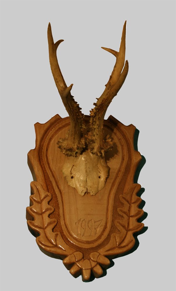 panoplii de vanatoare: galerie foto