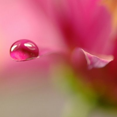 Arte / Educação: Tempo de delicadeza