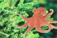 Valuable Information about Trees & Plants: The Pacific Northwest Tree ...