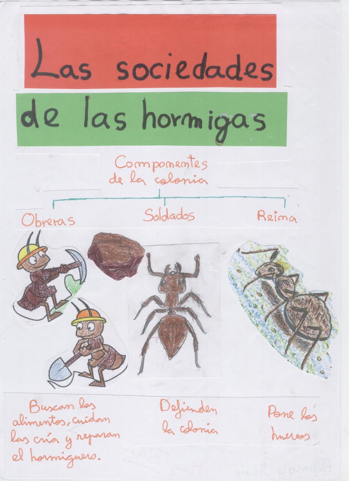 L@S ALUMN@S TIC DE GUADALCÁZAR: noviembre 2010