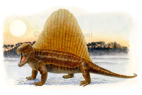 Utako Kikutani Illustration: 1月 2004