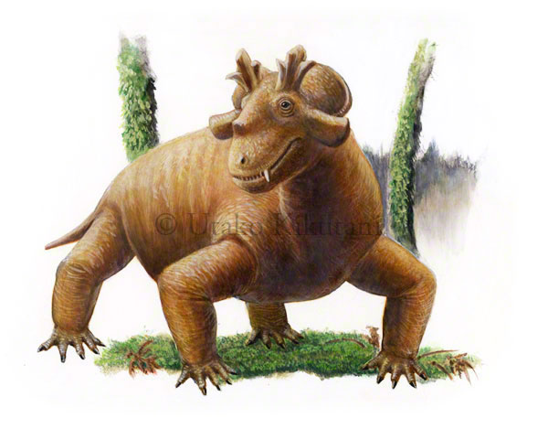 Utako Kikutani Illustration: 1月 2004