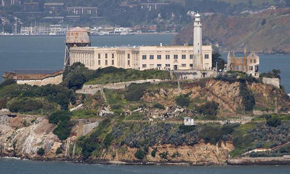 Dibujos para colorear de alcatraces - Imagui