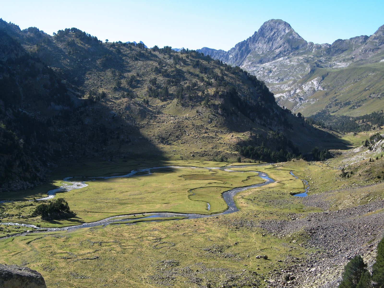 maitant: Visca les Mulleres de la Tuca!