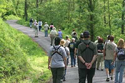 A glorious life: Birding with Ralph Bell
