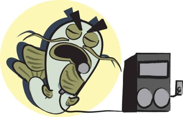 Davin P. Lassiter's Design & Illustration blog: The Singing Catfish