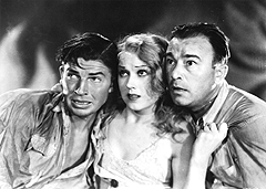 PALAEOBLOG: January 2009