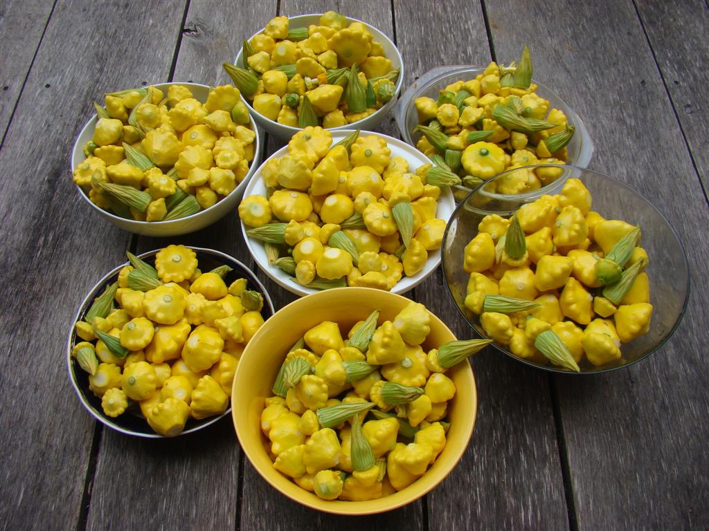 "KDOR ZASEJE VRT, ZASEJE LJUBEZEN": Patišoni spet in spet