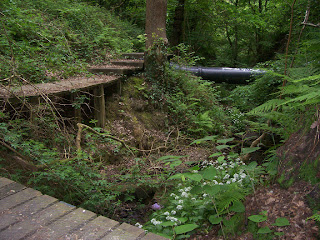 Photographs Of Newcastle: Sugley Dene