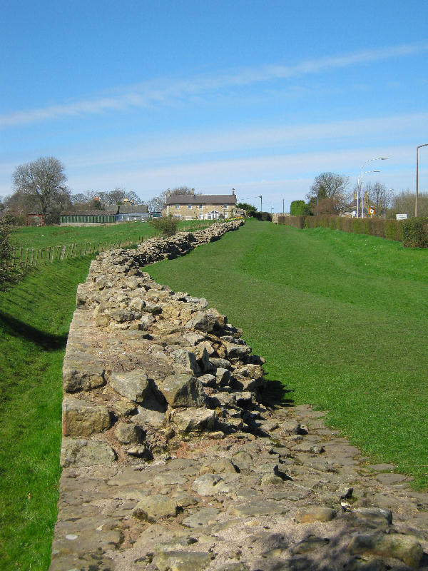 Photographs Of Newcastle: Hadrians Wall at Heddon