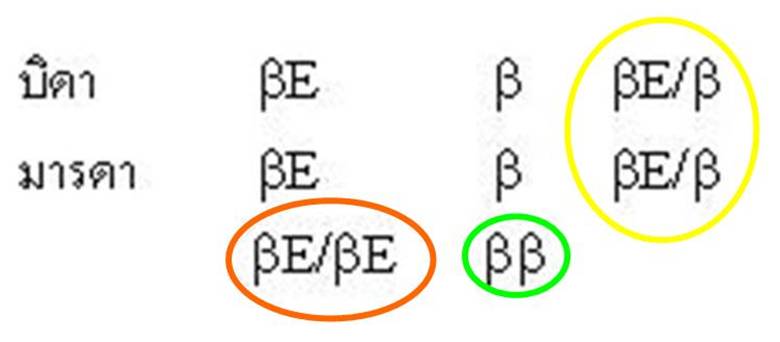 Phimaimedicine: 553. Hb E trait VS Hb E trait