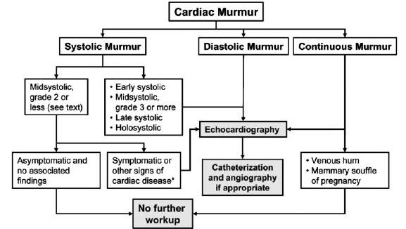 Phimaimedicine: 730. Murmur evaluation