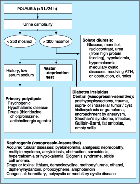 Phimaimedicine: 750. Polyuria with high protein feeding