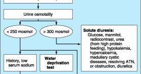 Phimaimedicine: 750. Polyuria with high protein feeding