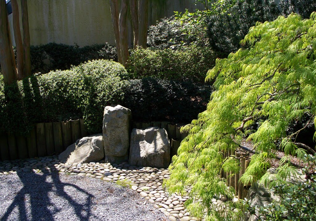 Orange explains it all: visiting the national arboretum full of delights