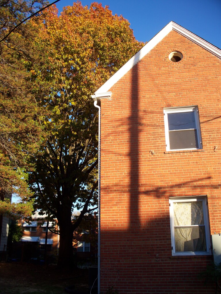 Orange explains it all: busy weekend delights