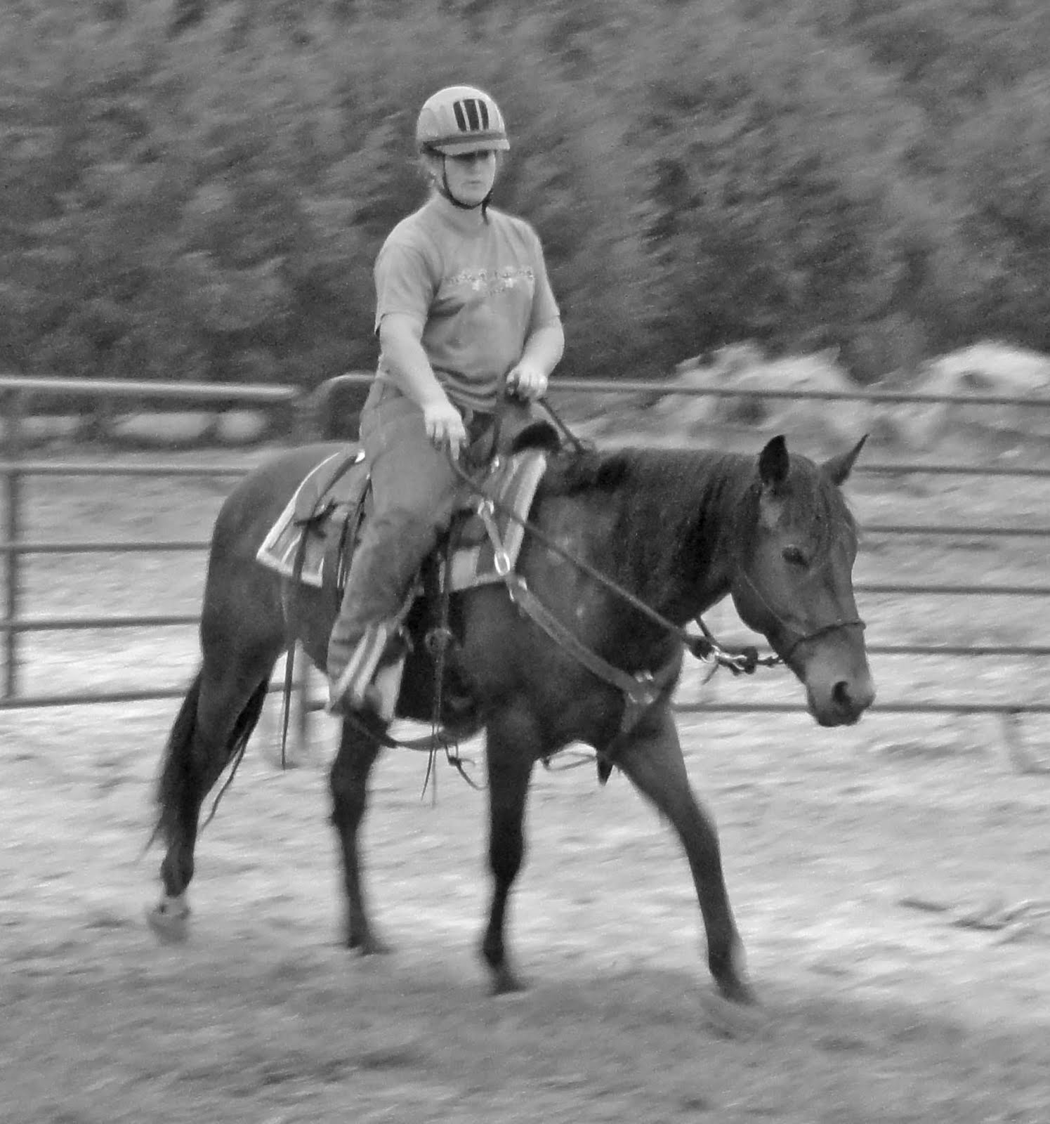 Mustang Dreams....: Honey Bees and Wild Ponies......