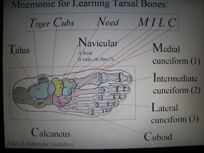 Nuclear Medicine - Another Way Of Learning: BONE SCAN OF THE HANDS and FEET
