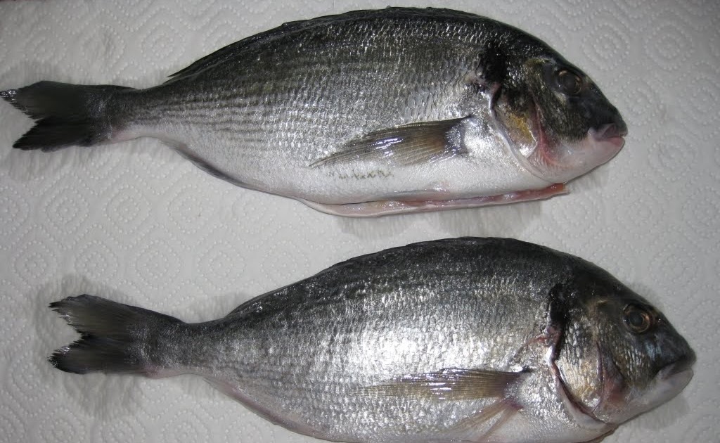 Blog Pepato.eu: Pražma královská pečená v rozmarýnové krustě