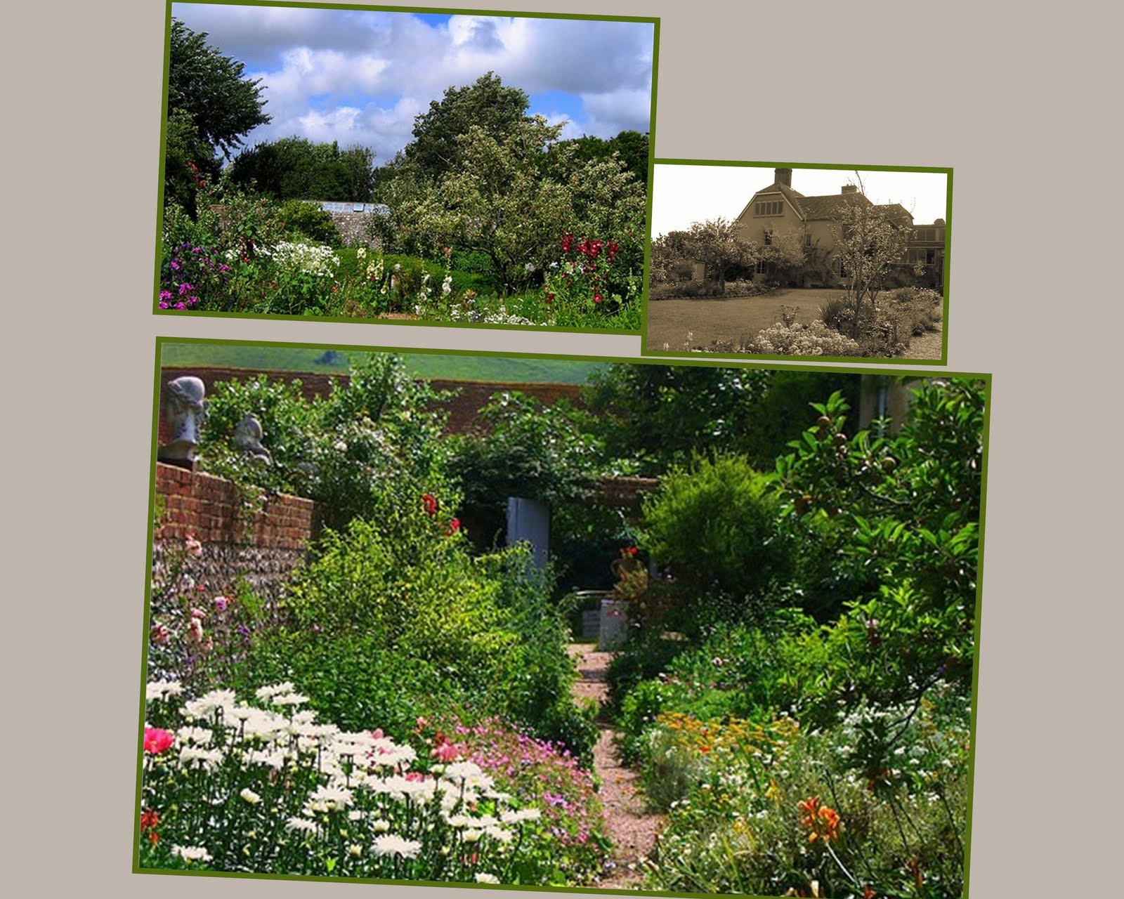 Recollections of a Vagabonde: Recollection: Bird Drawings from Sir ...