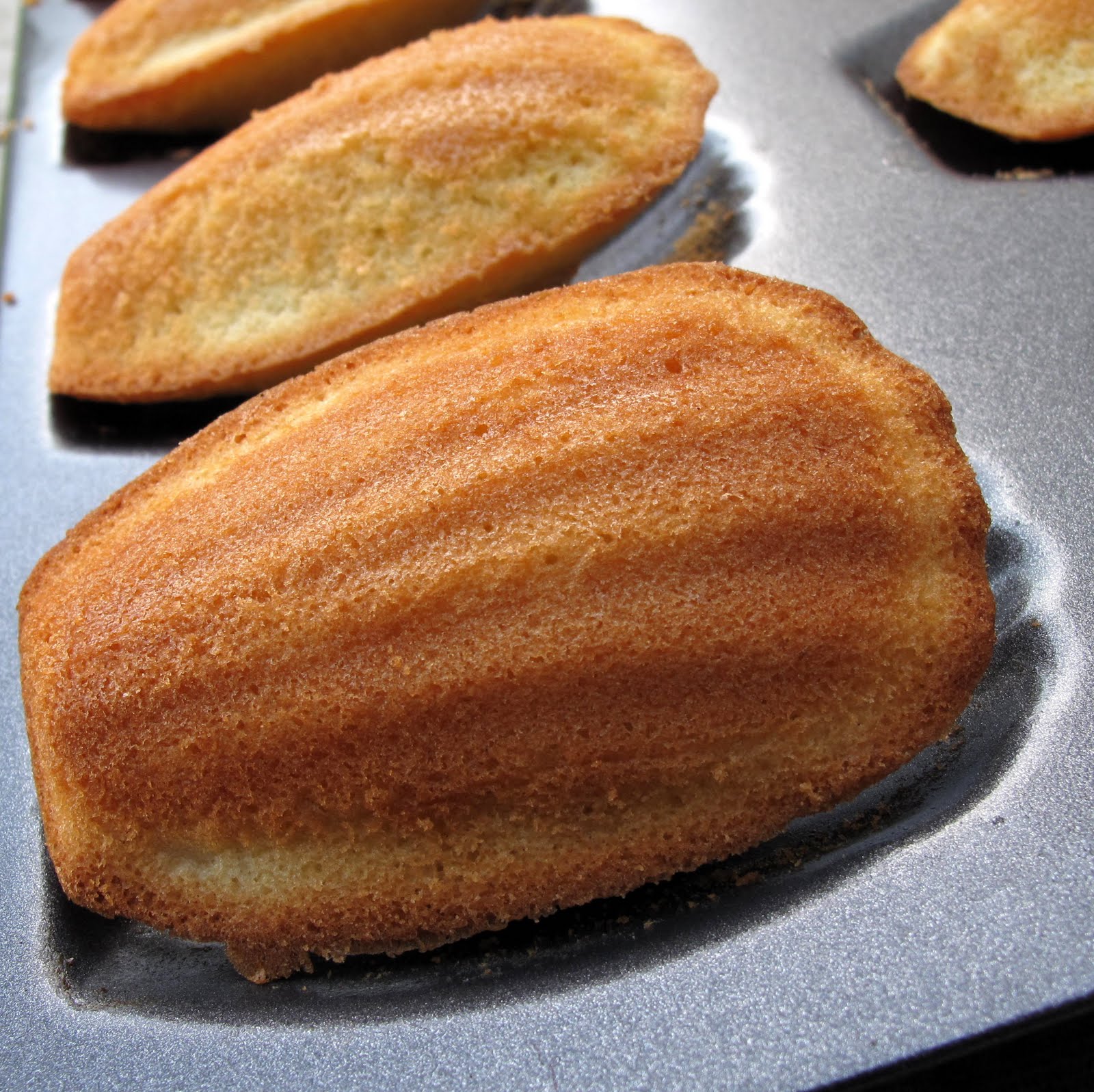 bakies: Lemon glazed madeleines