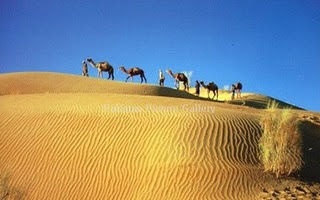 WELCOME TO MY WORLD: Cholistan (Rohi): Part of Great Desert Called ...