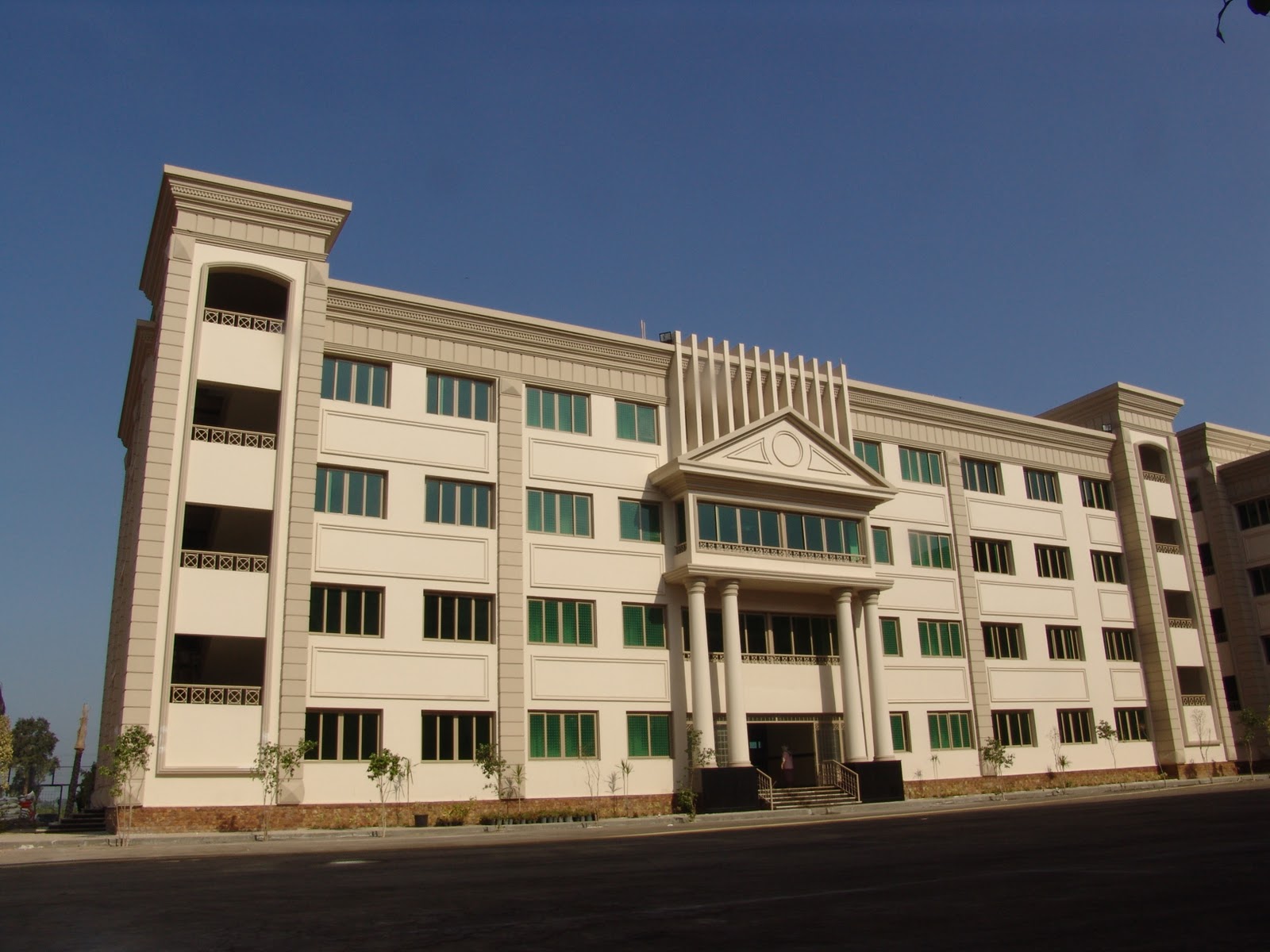 mansoura college