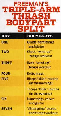 Training With Toney Freeman For Get Killer Arms - Muscle Base | New ...