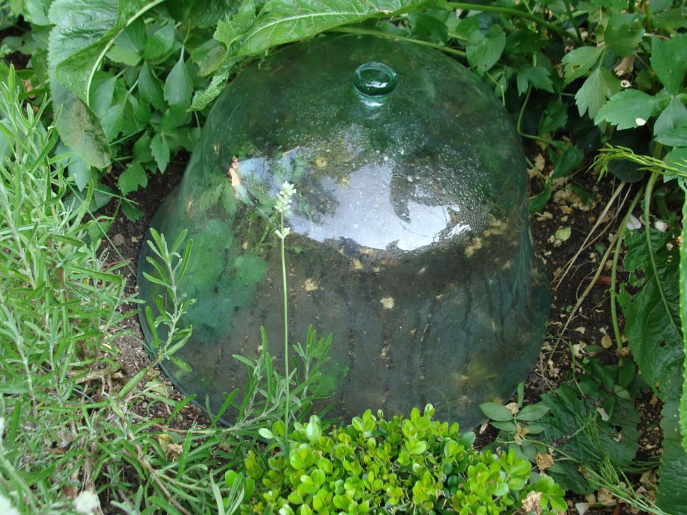 la Brocanteuse: To cloche or not