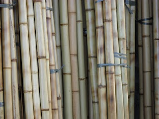 Bambu Show Brasil: Bambu tratado