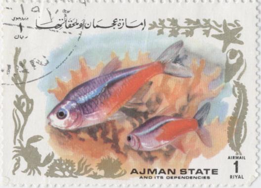 Fish (animals) stamp, Ajman State (United Arab Emirates), 1 Riyal ...