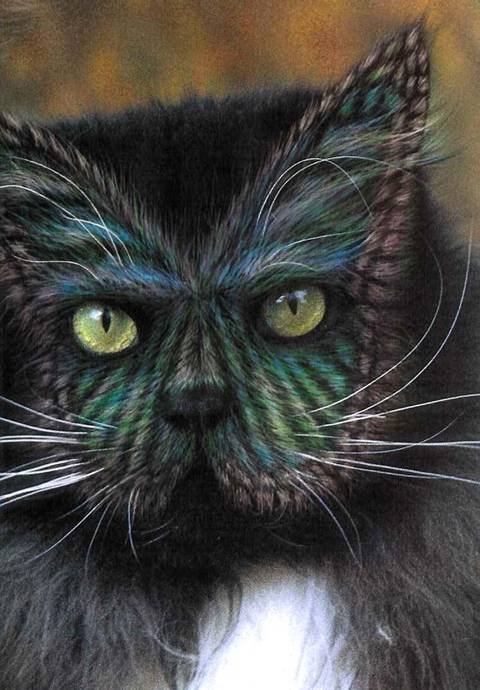 new photo: painted cats 011