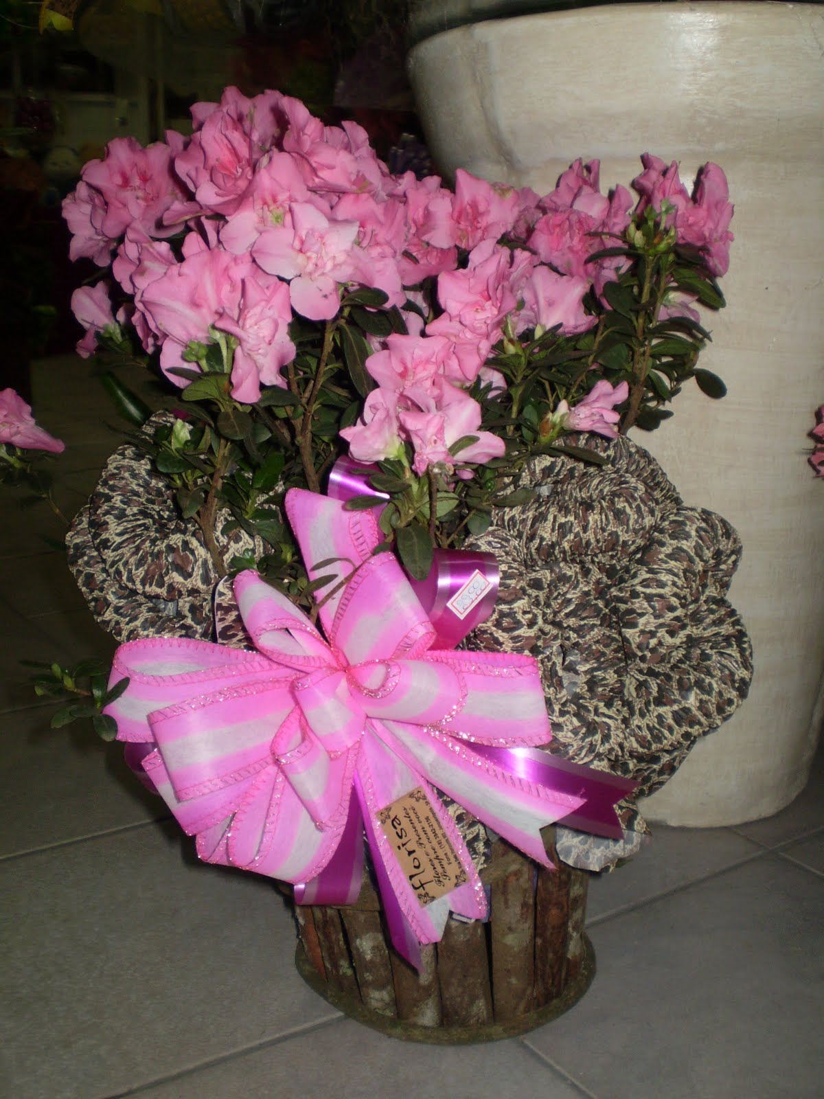 Florisa Floricultura