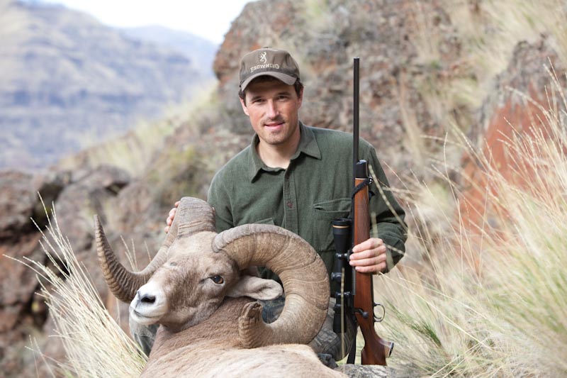 Dave-Sensei: My Oregon Bighorn Sheep